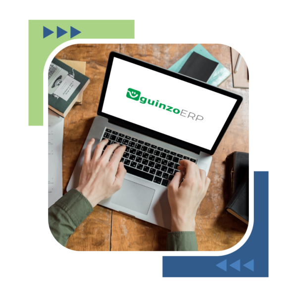 Inicio - Guinzo Soluções